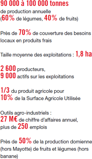 La filière Fruits et légumes – Production locale